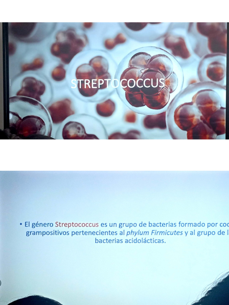 Streptococcus | PDF