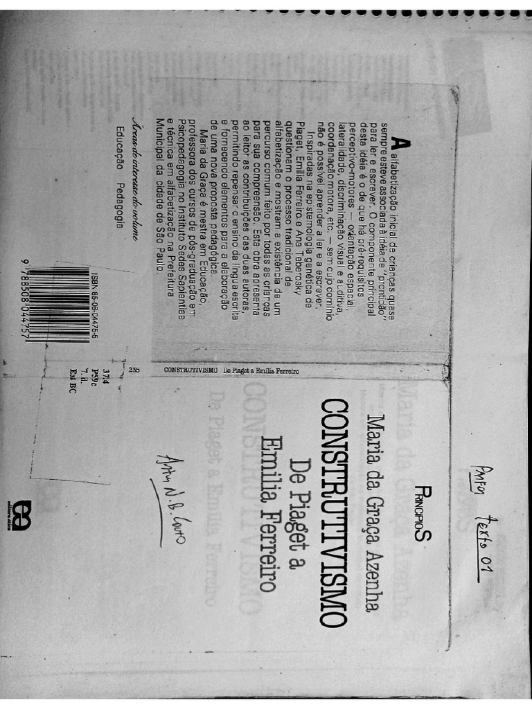 Livro - Construtivismo de Jean Piaget A Emília Ferreiro | PDF