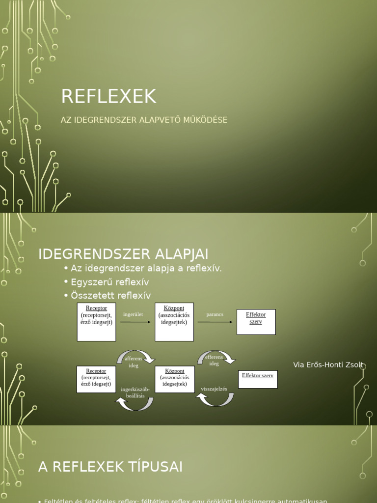 Reflexek 2022 | PDF