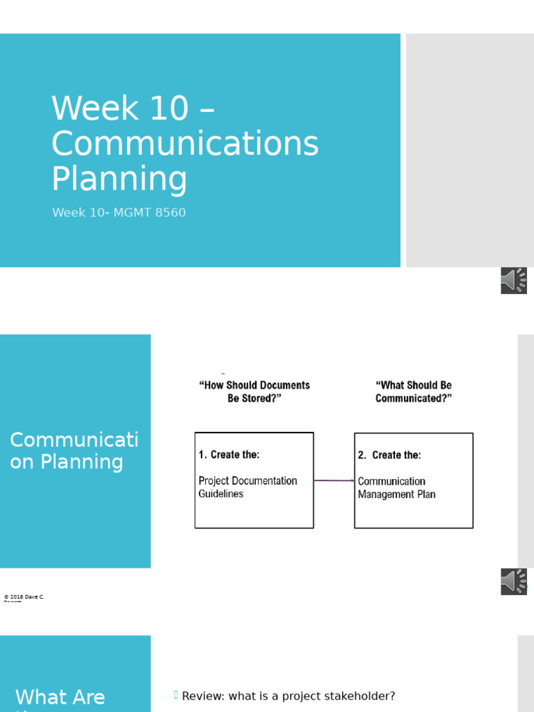 C10b - MGMT 8560 - Project Communication | PDF | Communication | Human Communication