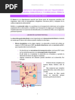 Examen de Ferremia y Hierro Sérico | PDF | Hierro