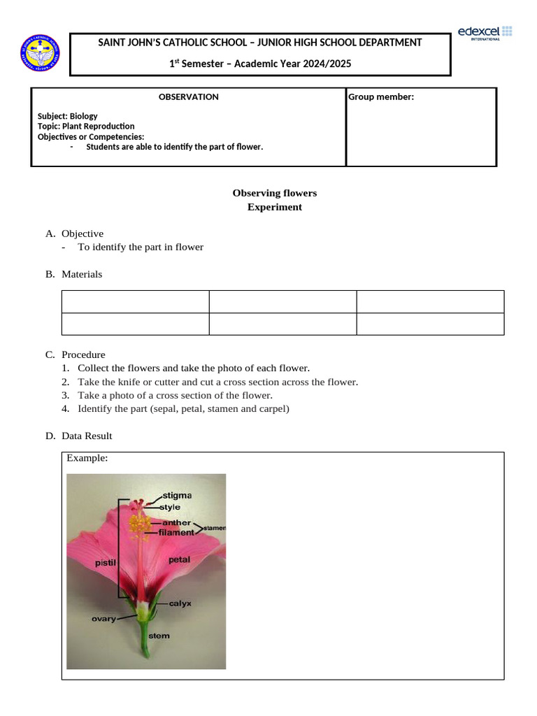 Ethan Biology Flower | PDF