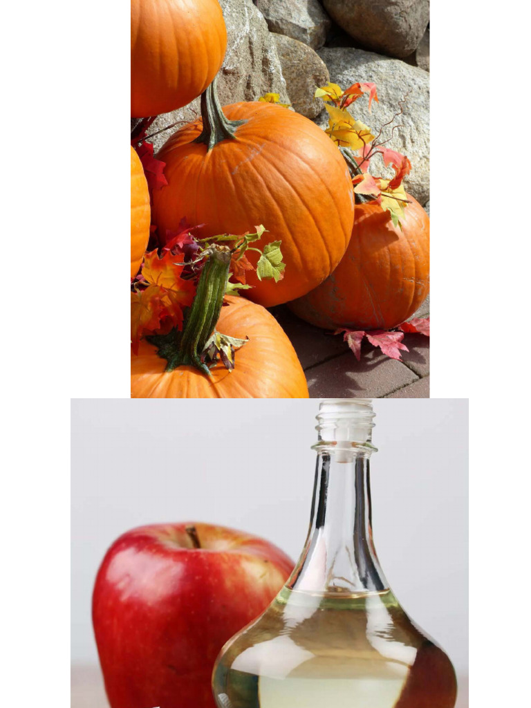 70 Food Slides | PDF