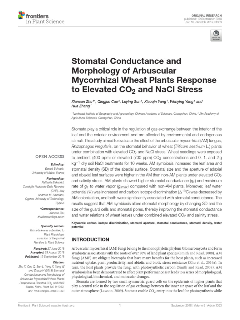 Stomatal Conductance and Morphology of Arbuscular Mycorrhizal Wheat ...