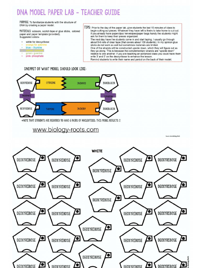 ADN partes (1)_page-0001 (1) | PDF