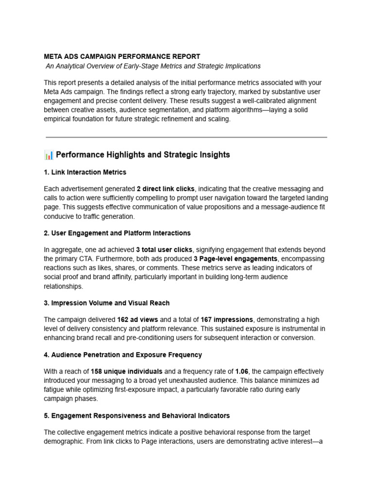 Meta Ads Campaign Performance Report | PDF
