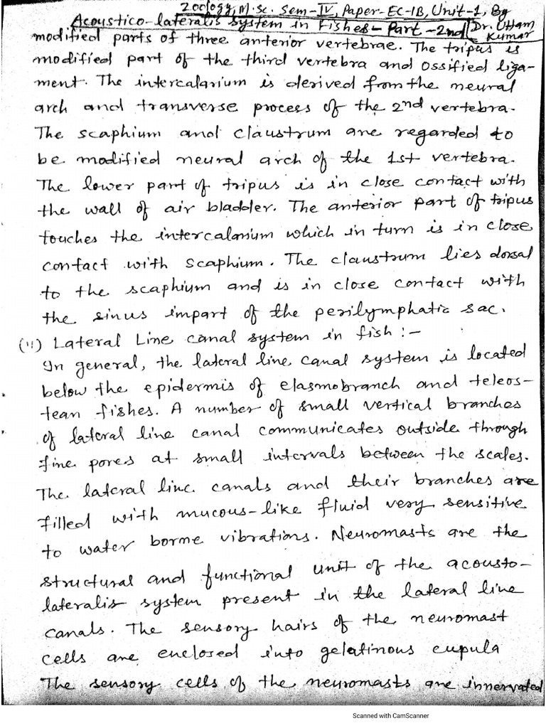 Zol 54 | PDF