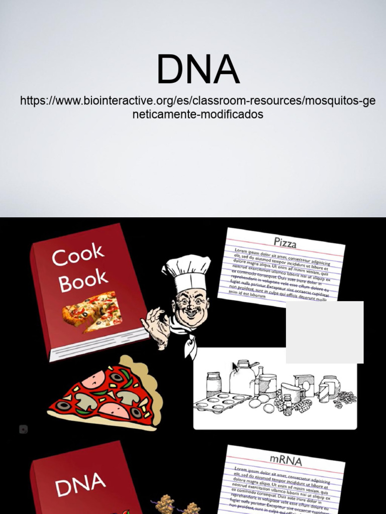 Estr ADN y ARN | PDF