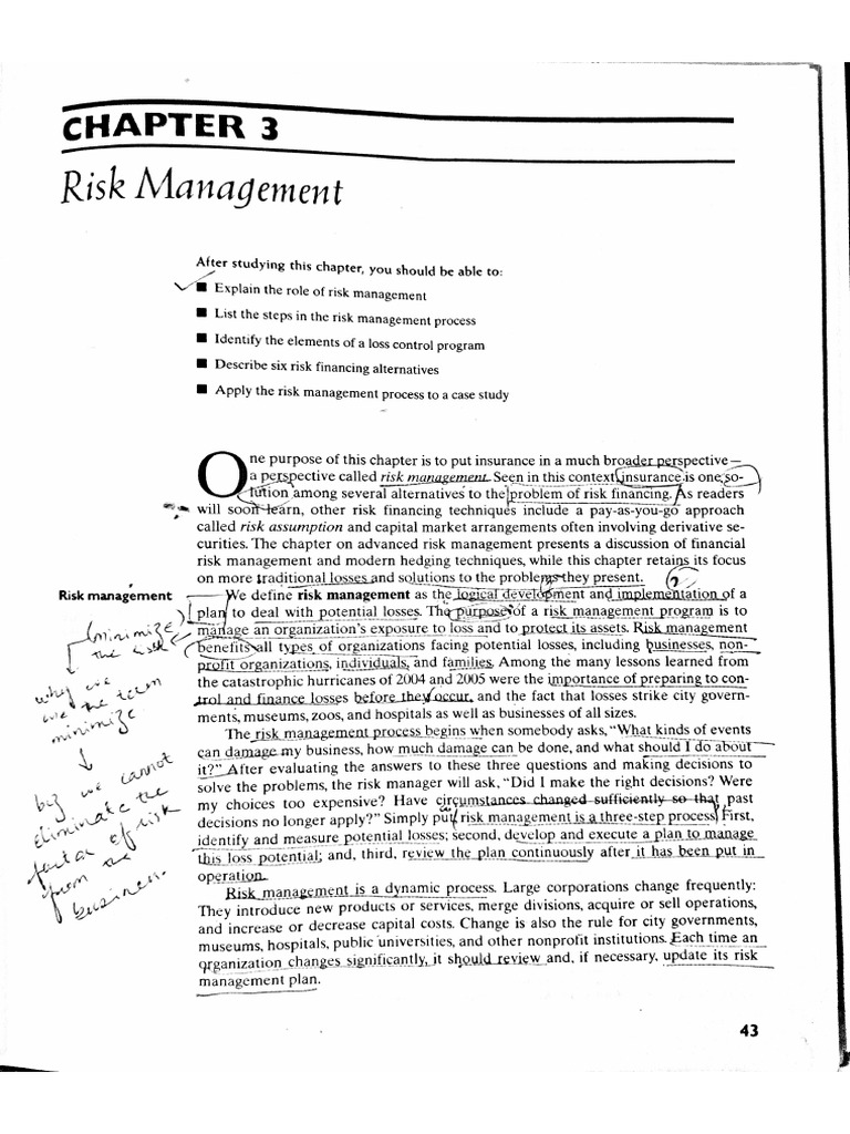 RISK Management | PDF