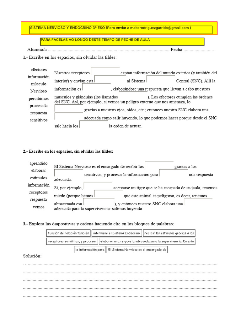 Sistema Nervioso e Endocrino Mtrg Miguel Capineti Ortega | PDF | Neurona | Cerebro