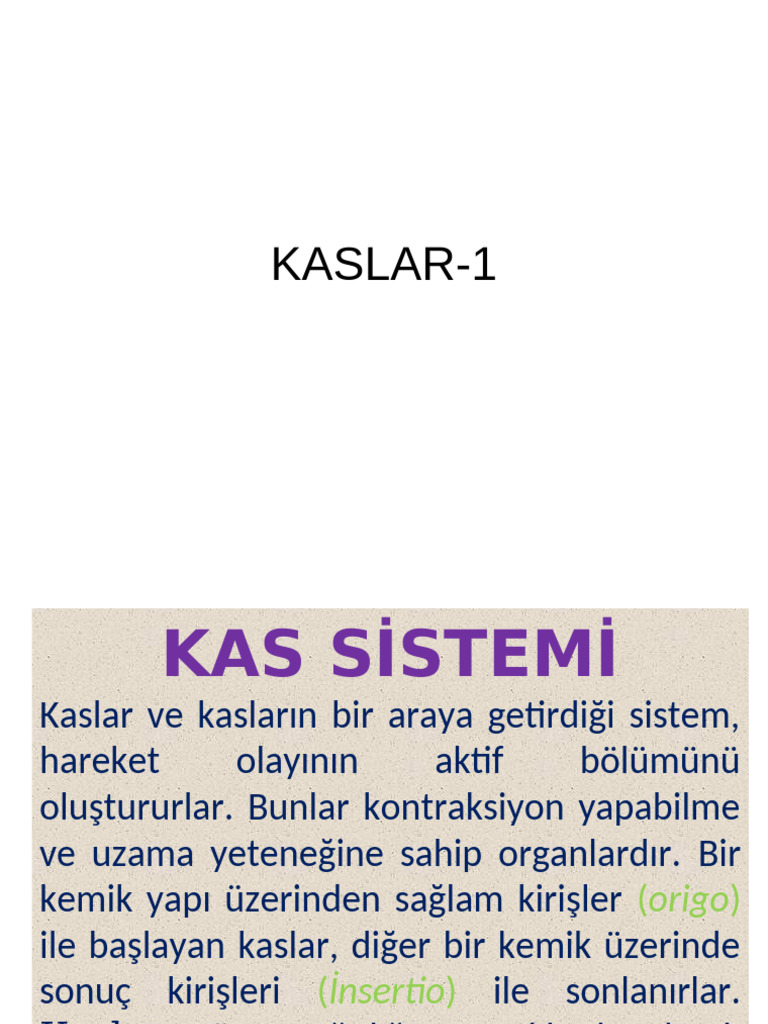 5 Hareket Si̇stemi̇ 4 Kaslar 1 | PDF