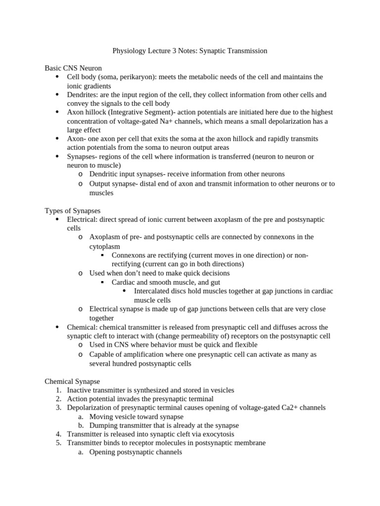 Physiology Lecture 3 Notes | PDF | Chemical Synapse | Synapse