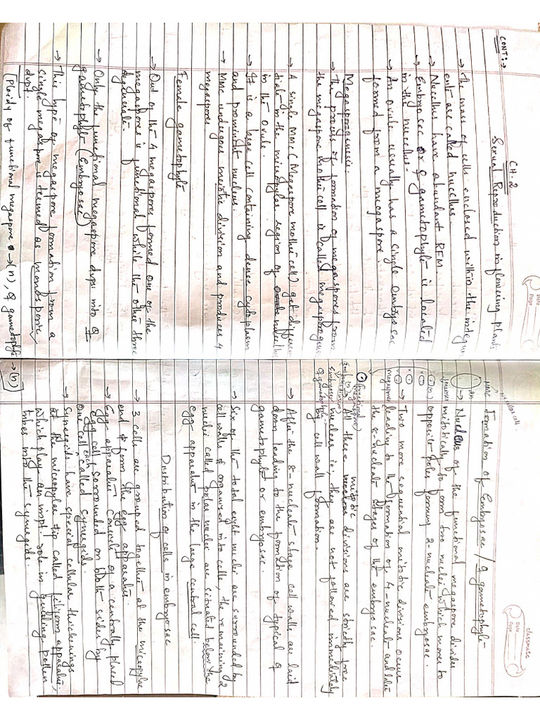 CH-1 Notes | PDF