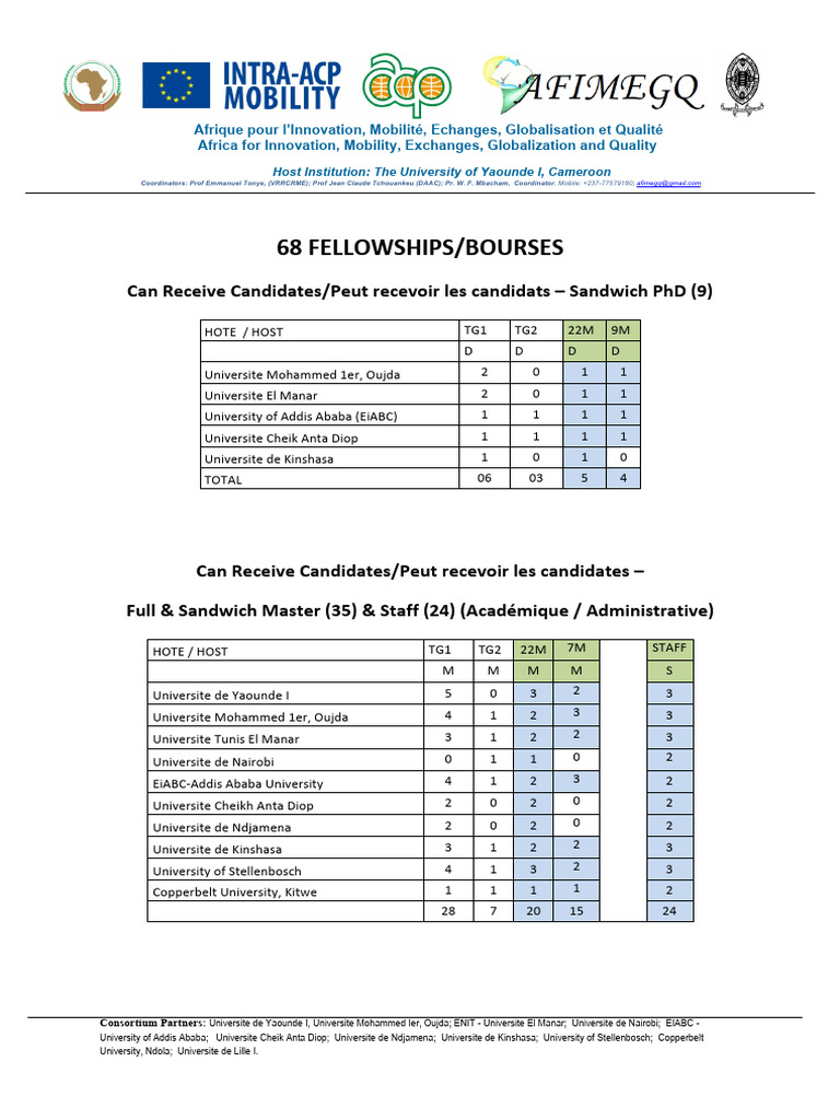 AFIMEGQ Fellowships 2nd Cohort | PDF