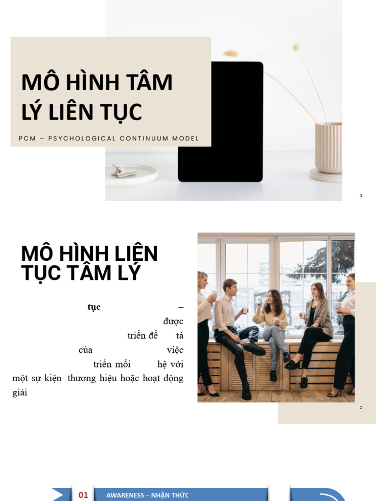 C2. Mô Hình Tâm Lý Liên T C | PDF