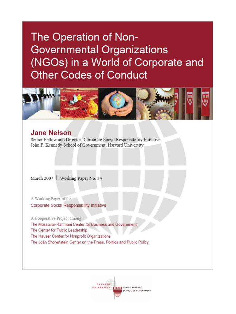 NGO Operations and Corporate Conduct Insights | PDF | Non Governmental ...