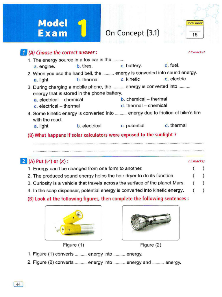 Unit 1 Test Grade 4 Science Elmasser | PDF