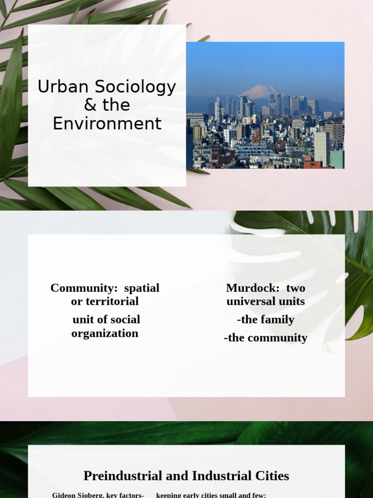 Principles Urban Sociology and The Environment | PDF | Sociology ...