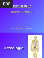 Marcas Oseas | PDF | Sistema musculoesquelético | Sistema esquelético