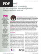 ACVIM Guidelines for Hypertension in Pets | PDF | Hypertension ...