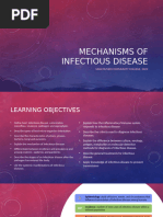 Subcutaneous Butterfly | PDF | Intravenous Therapy | Saline (Medicine)