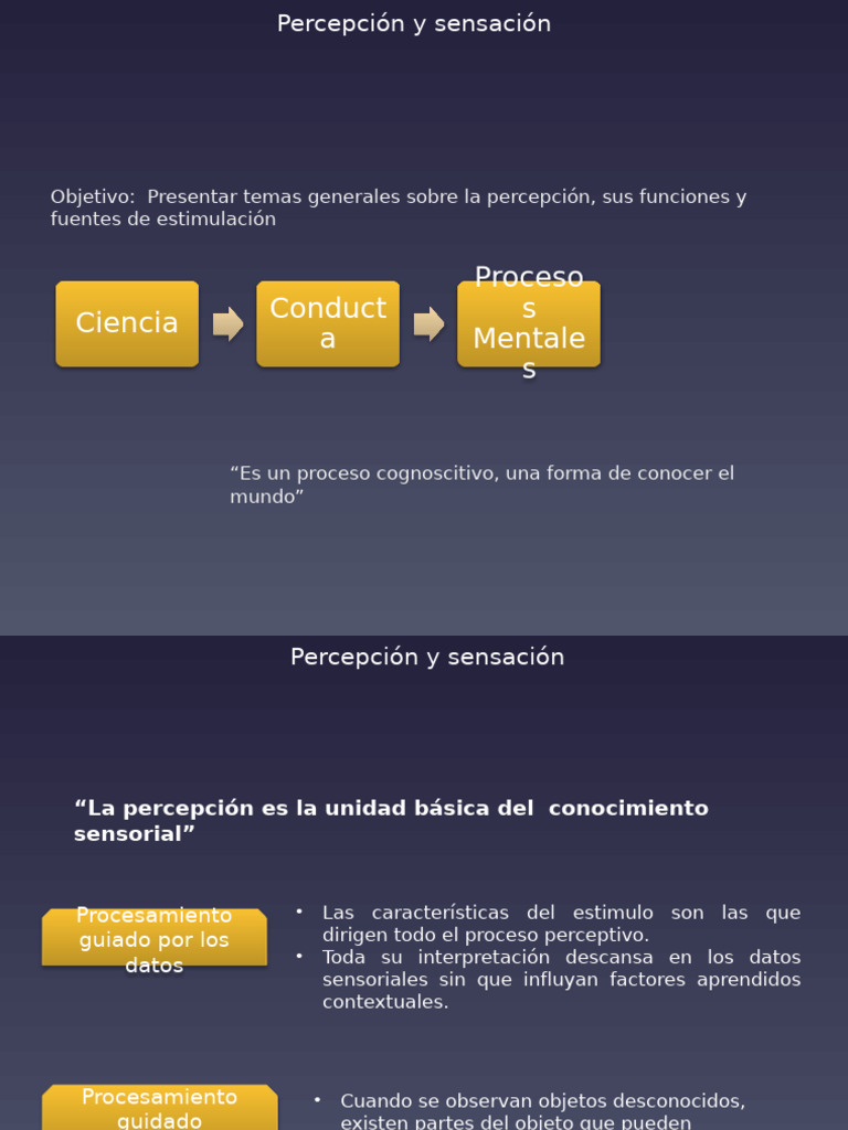Procesos Mentales | PDF | Sentidos | Percepción