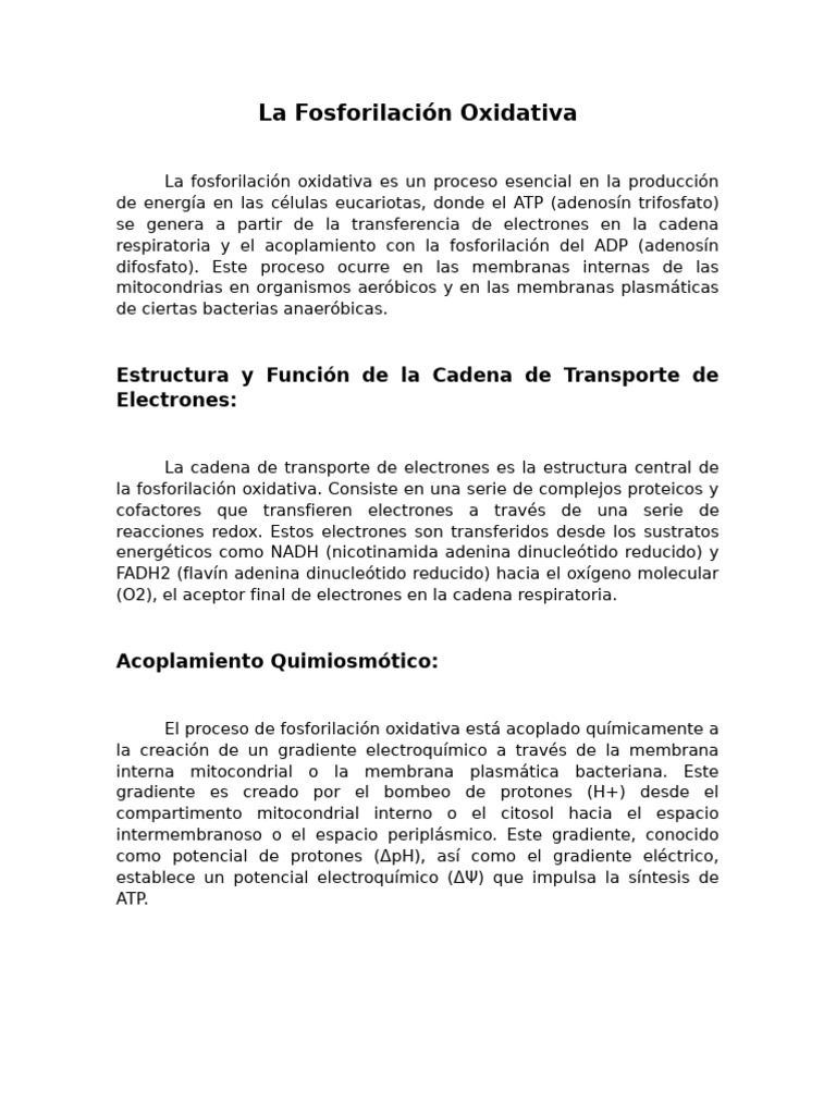 Resumen fosforilación oxidativa | PDF | Trifosfato de adenosina | Cadena de transporte de electrones