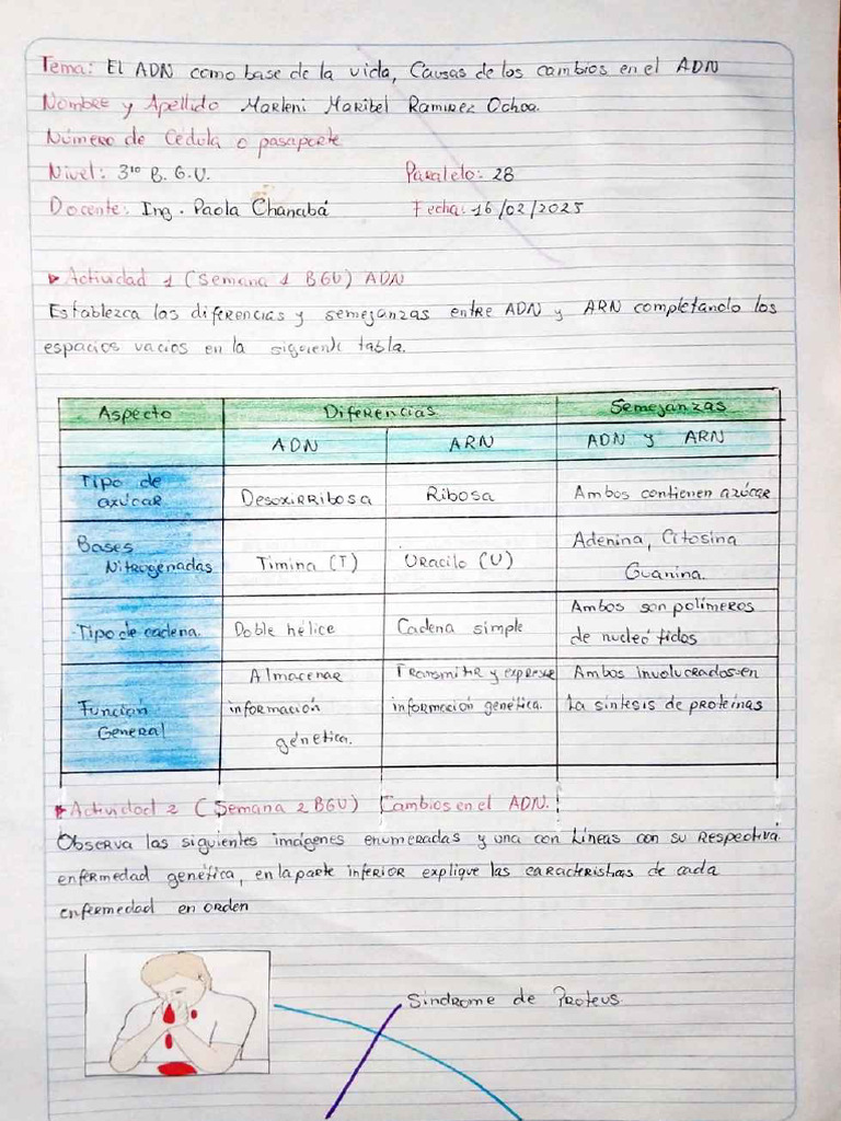 U1.A1-3.RAMIREZ.MARLENI.BIOLOGIA | PDF | Macromoléculas | Nucleótidos
