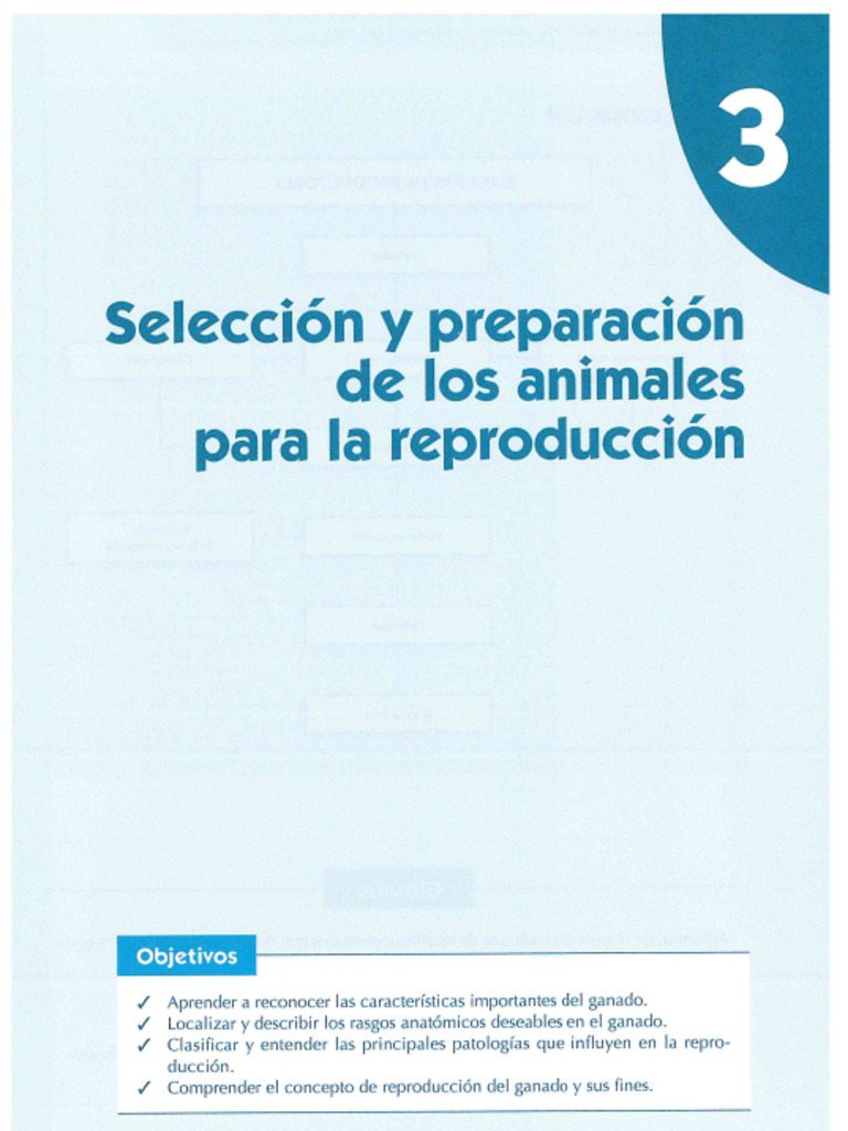 PLH 3 Seleccion Animales para Reproducción | PDF