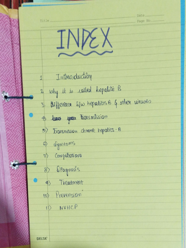 Hepatitis B Project | PDF