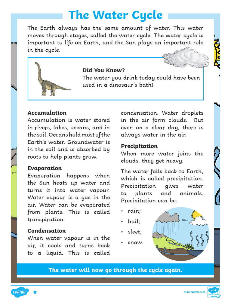 Water Cycle Reading and Questions | PDF | Water Cycle | Water