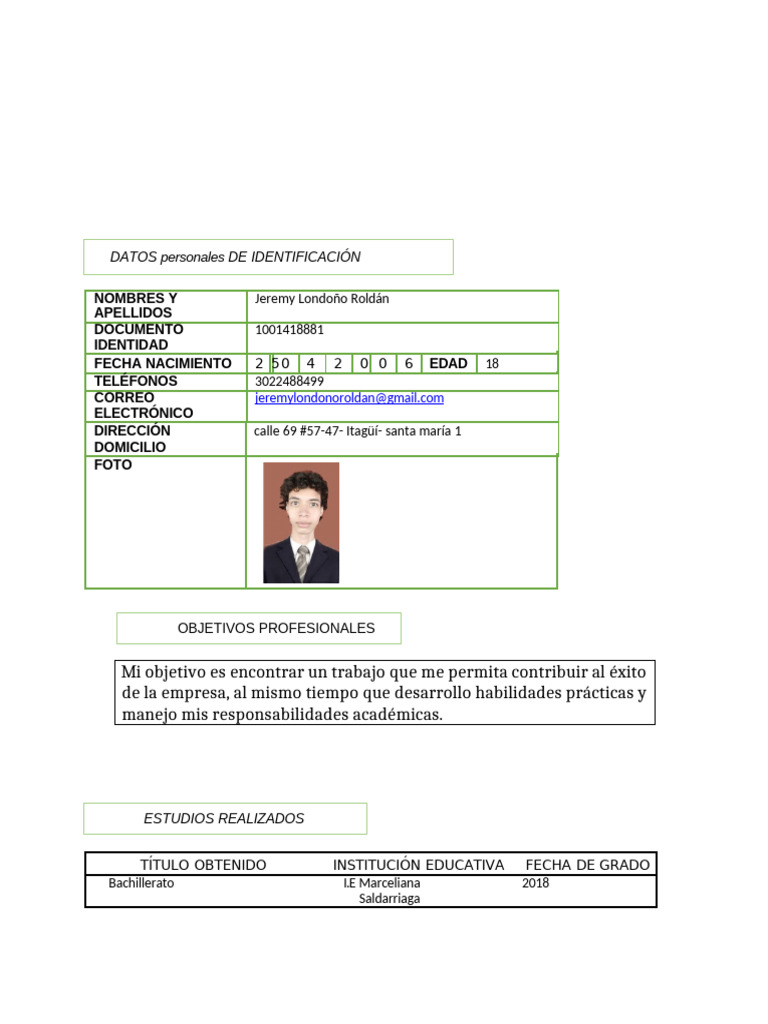 Perfil Profesional de Jeremy Londoño Roldán | PDF