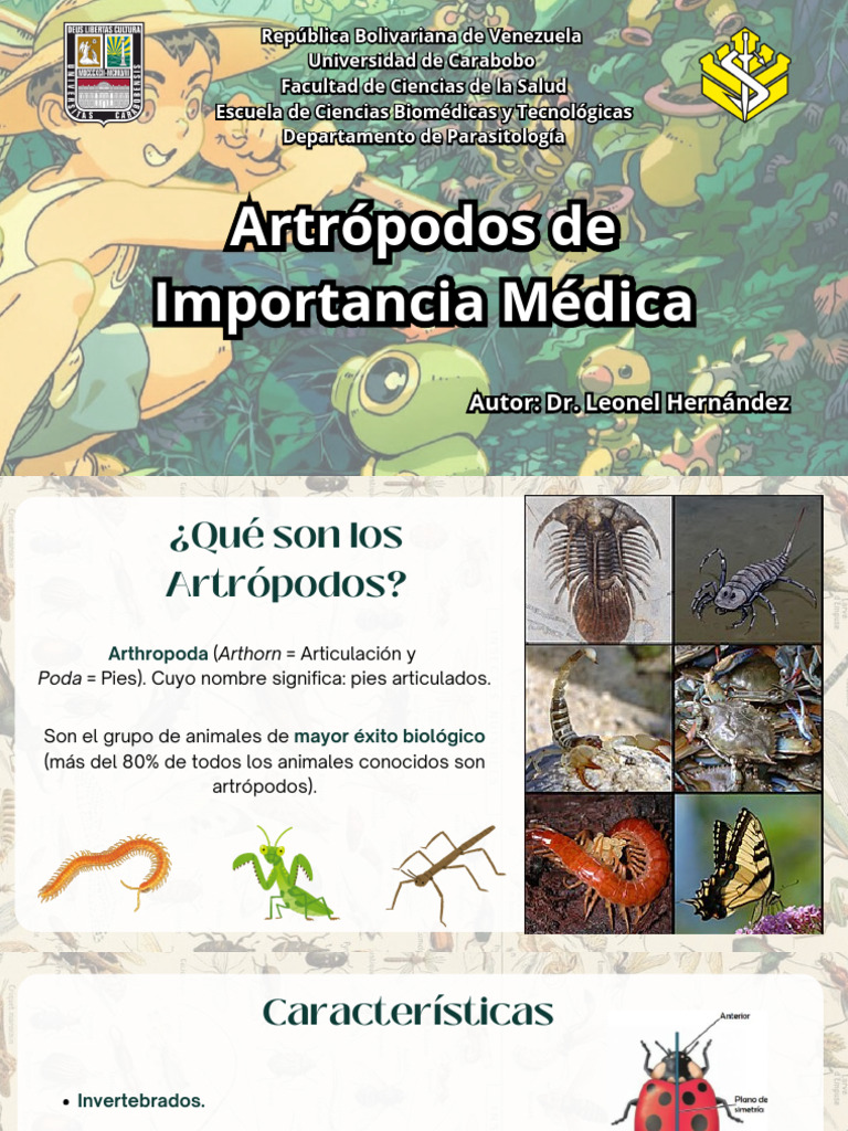Artrópodos Médicos: Impacto y Clasificación | PDF | Mosca | Insectos
