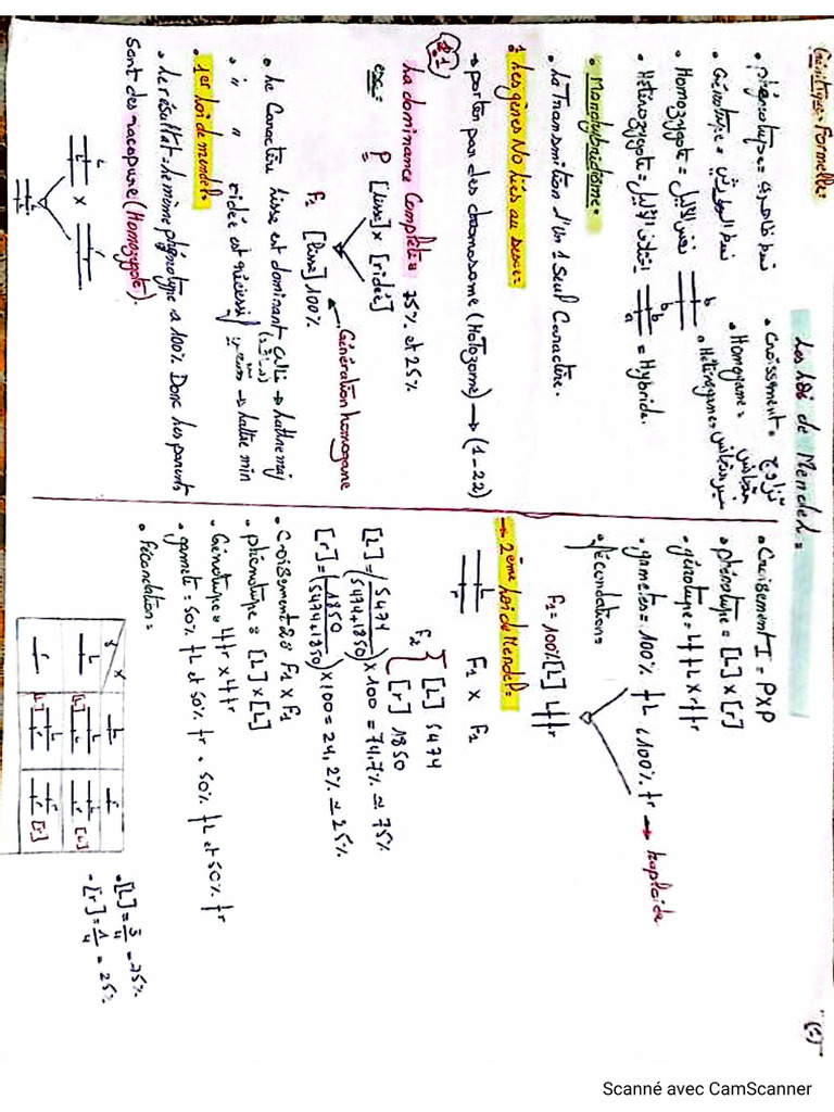 Résumé Génétique Formelle Et Humaine | PDF