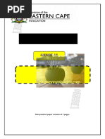 GP Maths Grade 11 ATP 2025 | PDF