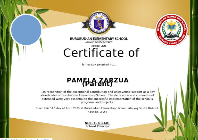 Certificate of Appreciation GS | PDF
