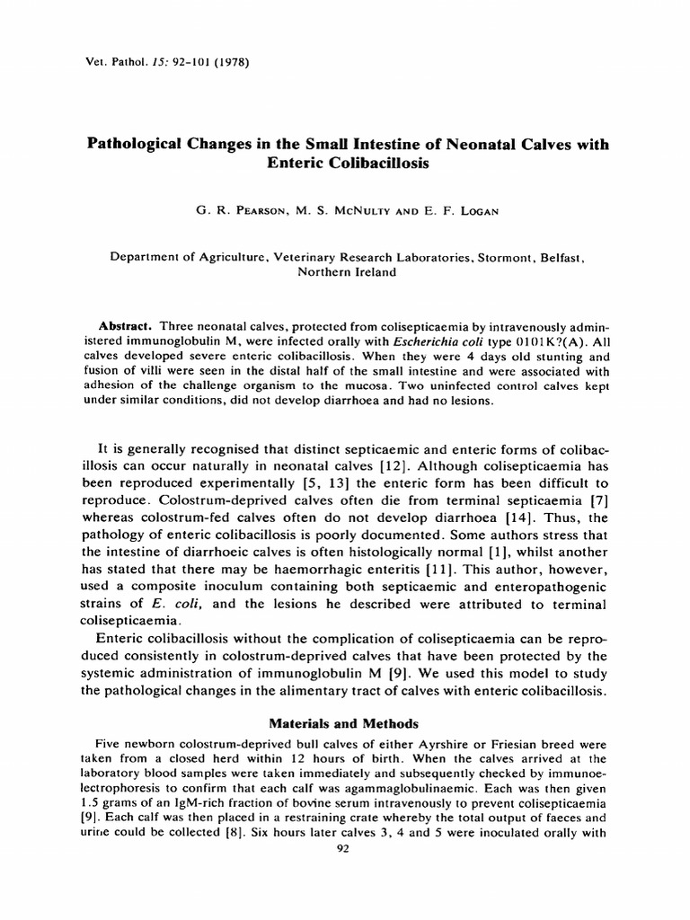 Pathology of Neonatal Calf Colibacillosis | PDF | Gastrointestinal ...