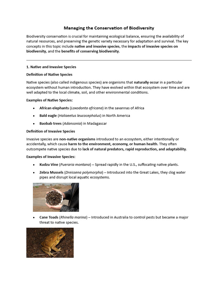 Conservation Strategies for Biodiversity | PDF | Invasive Species ...