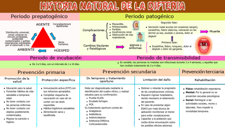 HNE de La Difteria | PDF | Enfermedades y trastornos humanos | Especialidades Medicas