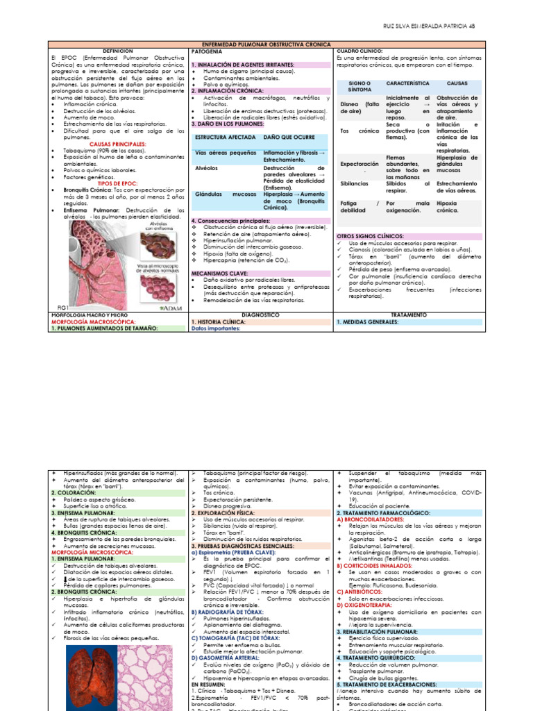 EPOC | PDF | Enfermedad pulmonar obstructiva crónica | Tos