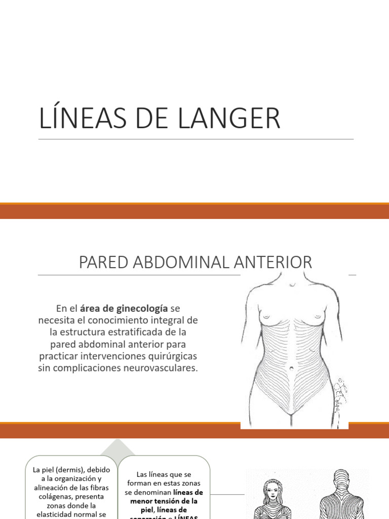 Importancia de las Líneas de Langer en Cirugía | PDF | Abdomen
