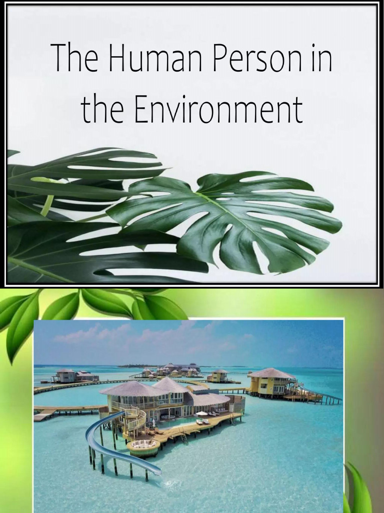 Human Person and The Environment | PDF