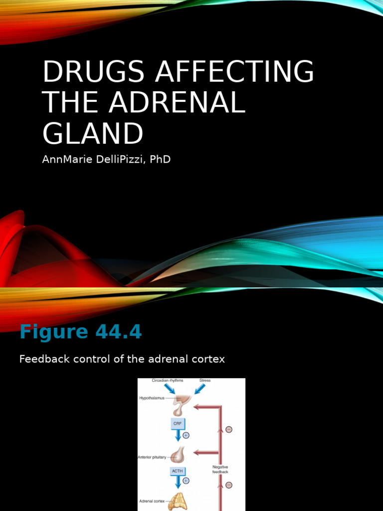 Drugs Affecting The Adrenal Gland R23 | PDF | Corticosteroid | Cortisol