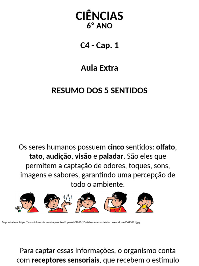 Resumo dos 5 Sentidos Humanos | PDF | Estímulo (Fisiologia) | Biologia