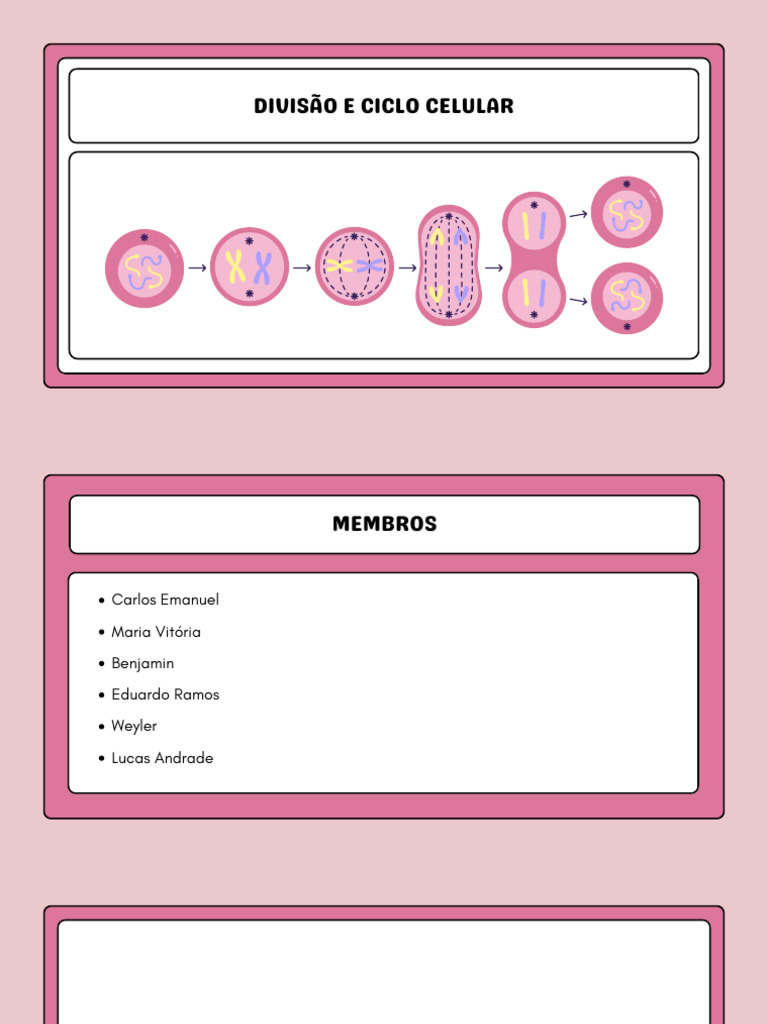 02. DivisÃ£o e Ciclo Celular | PDF | Meiose | Mitose