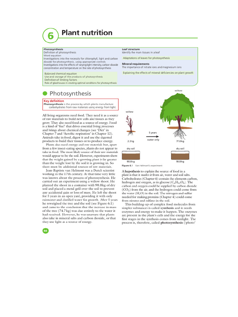 Plant Nutrition | PDF