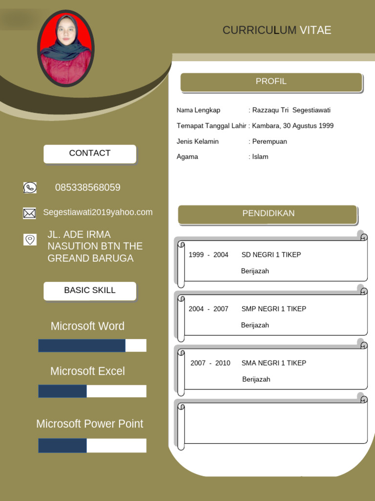 CV Curiculum Vitae | PDF