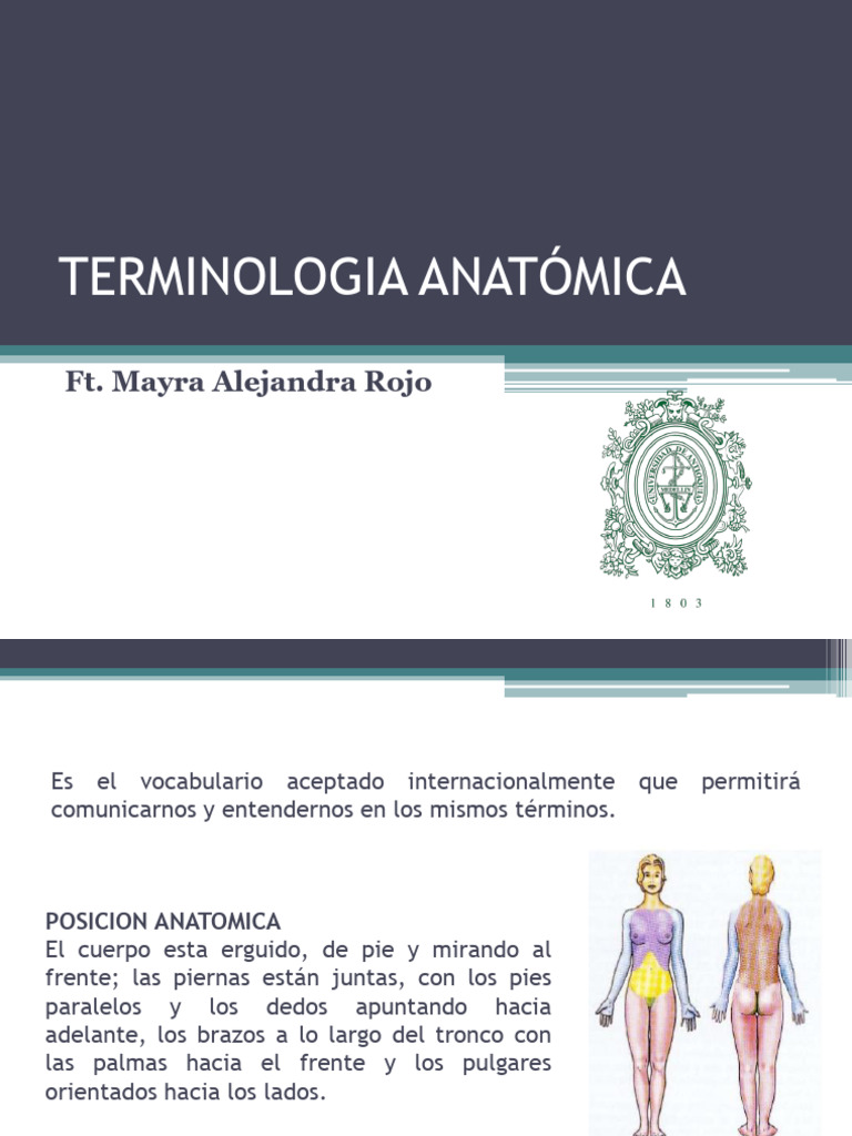 Terminologia Anatómica PDF | PDF | Términos anatómicos de ubicación ...
