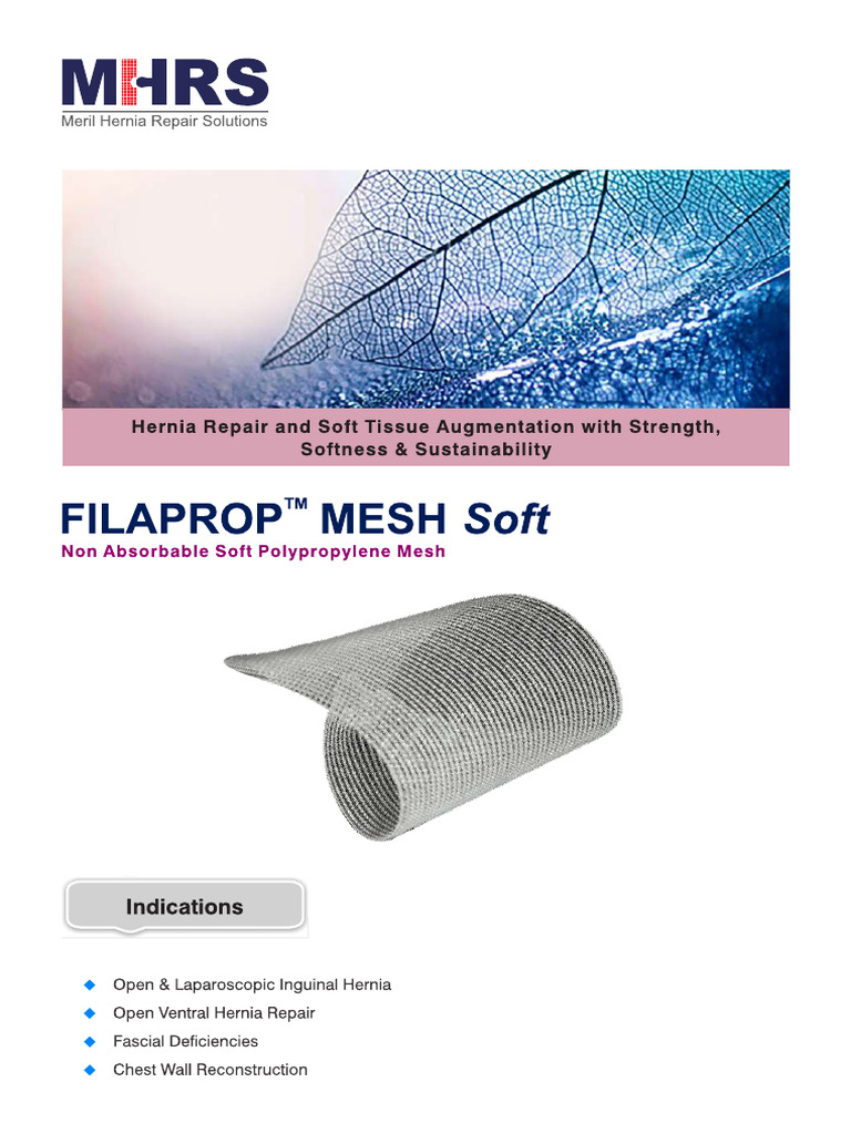 Meril Fillaprop | PDF