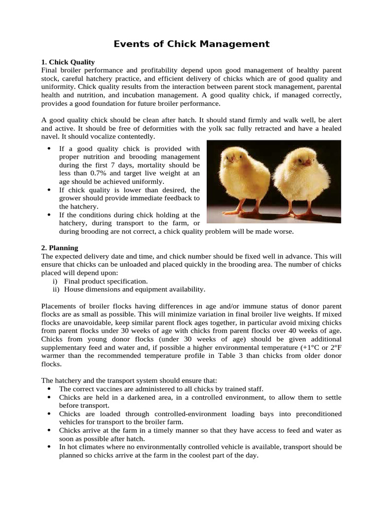 Chick Management Best Practices Guide | PDF | Birds | Humidity